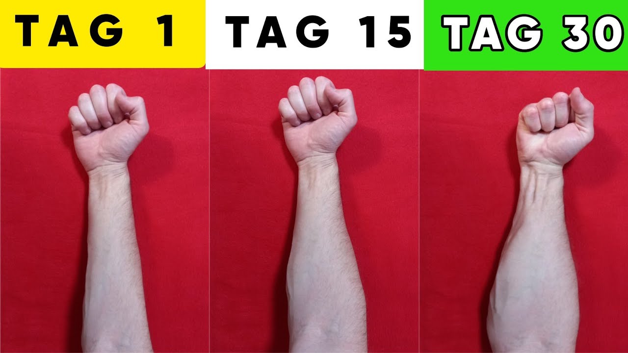 Unterarmtraining: Die 6 besten Übungen für dicke Unterarme - YouTube