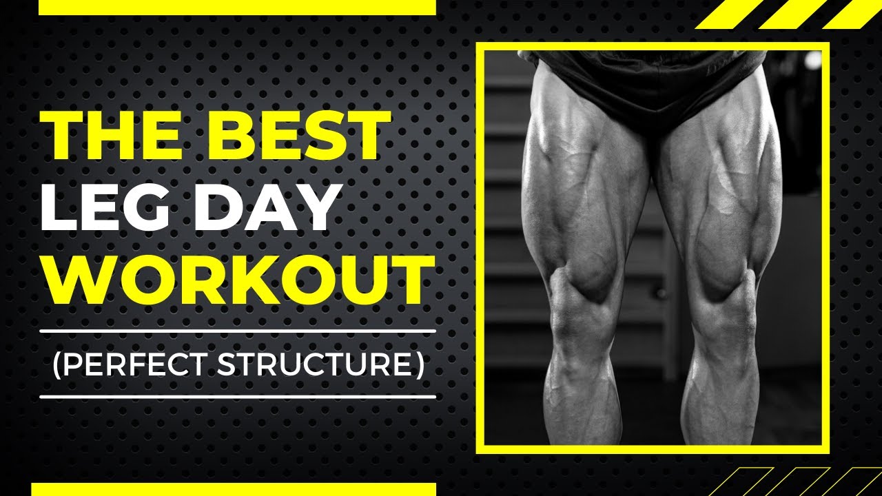 How to StructureThe PERFECT Leg Day Workout Routine For Bigger Legs ...