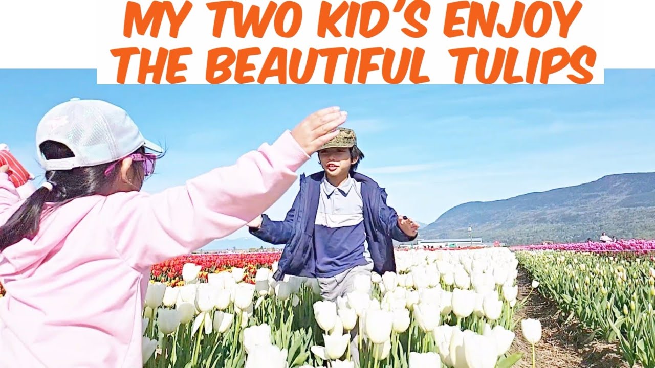 enjoy the beautiful Tulip with my kid's - YouTube