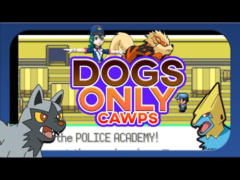 Can You Beat Pokemon Cawps With Only Dog Like Pokemon ?! (pokemon emerald rom hack)