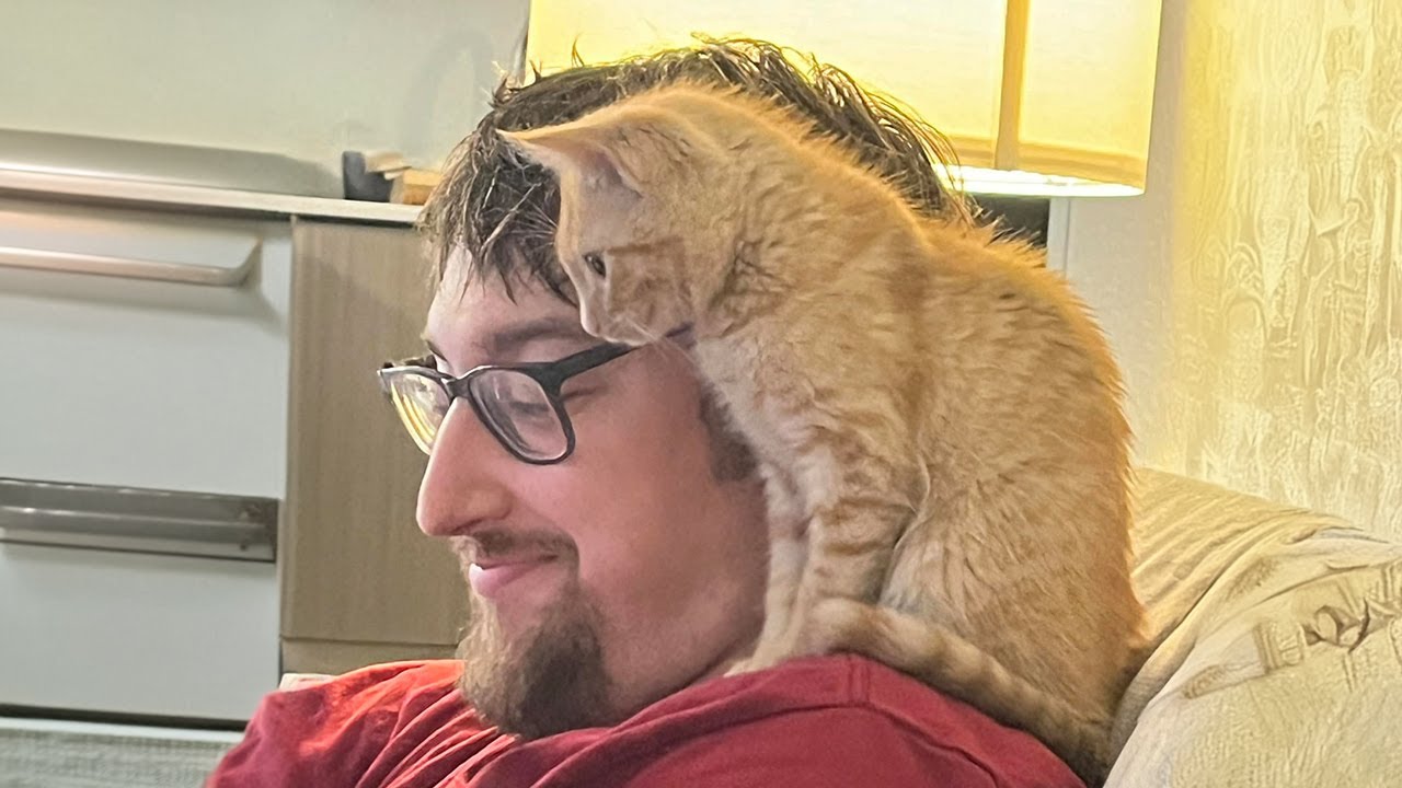 When your CAT becomes your precious friend 👶 ️🐱Cute Cats and Human 2024 ...