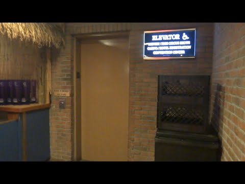 Otis Series 1 Mezzanine Elevator - Circus Circus - Reno, Nevada - YouTube