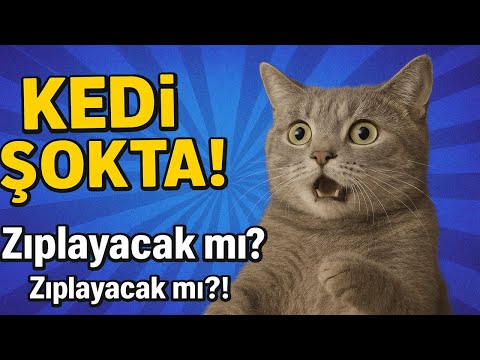 Komik Kediler 😂 | Şaşkın Kedi Videoları 2025 – En Eğlenceli Tepkiler!