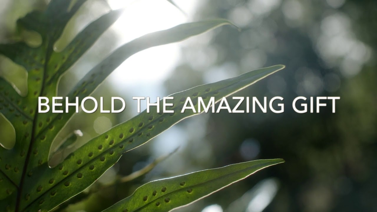 Behold the Amazing Gift - YouTube