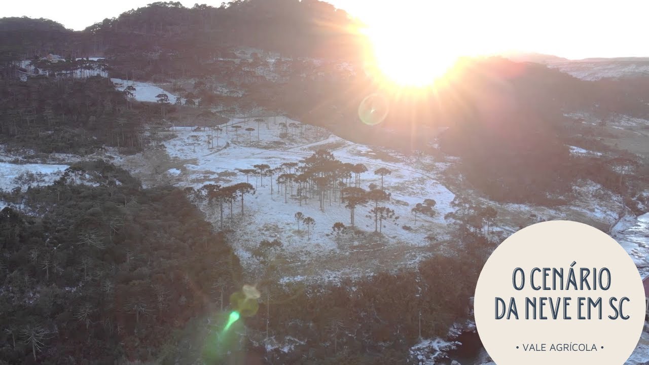 AS IMAGENS DA NEVE EM SC! - YouTube