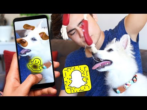 KÖPEĞİM İLE KOMİK SNAPCHAT YÜZ İFADELERİ!
