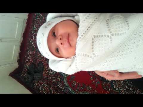 Mirmehdi