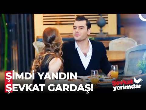 Delikanlı Adam Sevdiğini Aldatır Mı Niko? - Şevkat Yerimdar