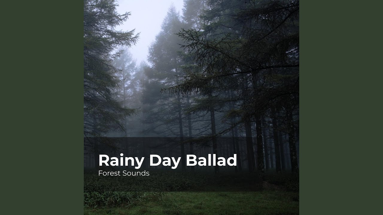 Refreshing Earthy Wind - YouTube