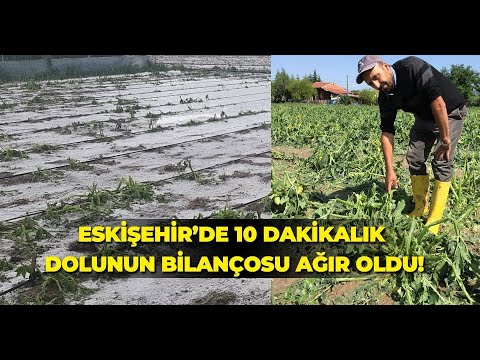 Eskişehir'deki doluda bilanço ağır oldu!