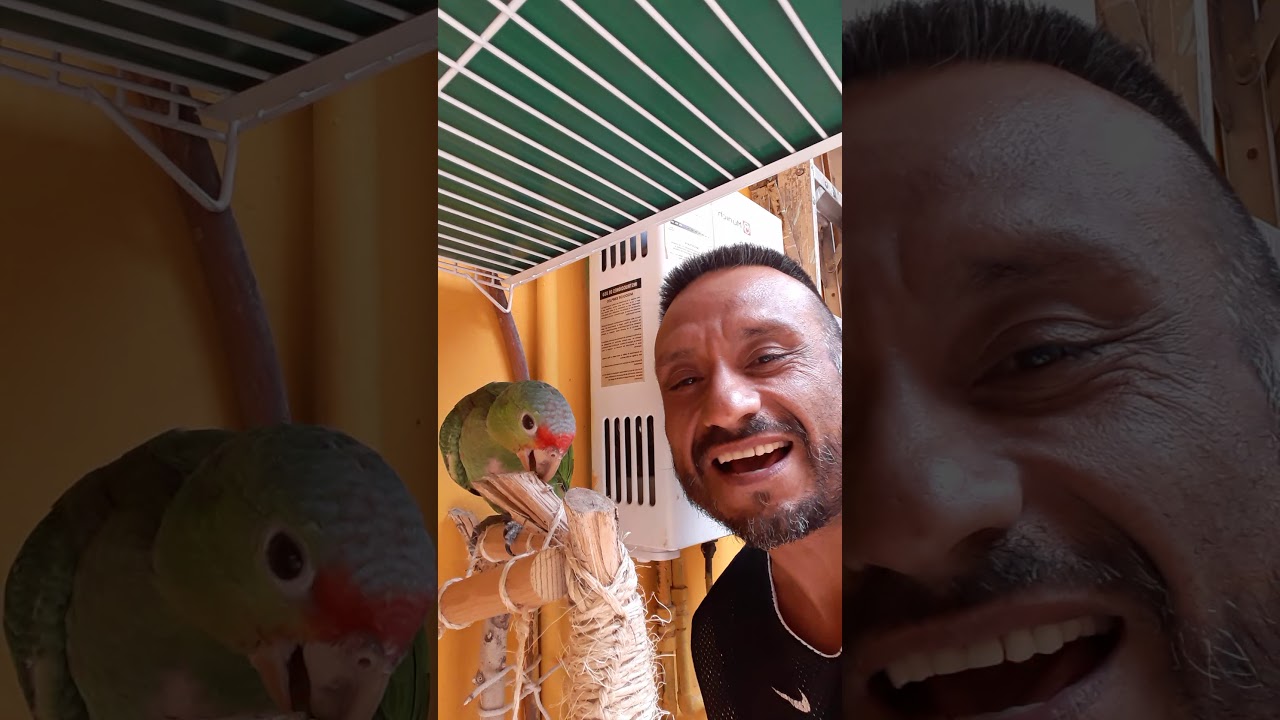 Saca el perico - YouTube