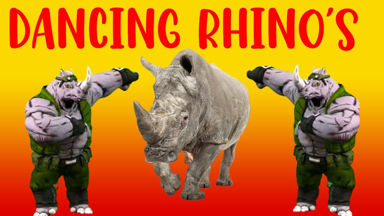 Animated Rhino 3D Model | Rhino Dance | Dance Competition | #my3dstudio ...