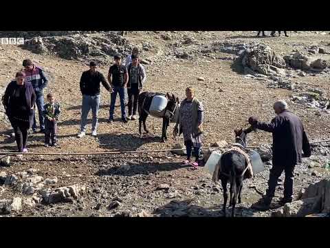 Şəmkir şəhərinin Ələsgərli kəndində demək olar ki, heç kim qalmayıb, kənddə heç bir şərait yoxdur