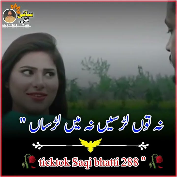 New punjabi Saraki Song || Best Song WhatsApp Status || Saraiki Song Status | Saqi Bhatti ...