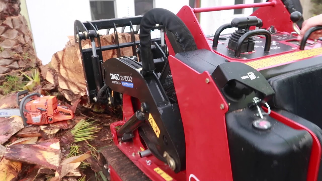 TORO DINGO TX 1000 helps bring down a huge palm tree!! ( CALSCAPE ...
