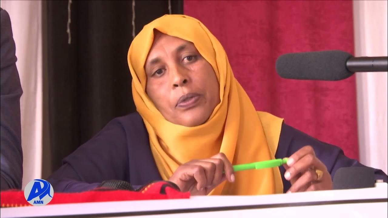 INSHURAANSII FAYYAA HAWAASAA - YouTube