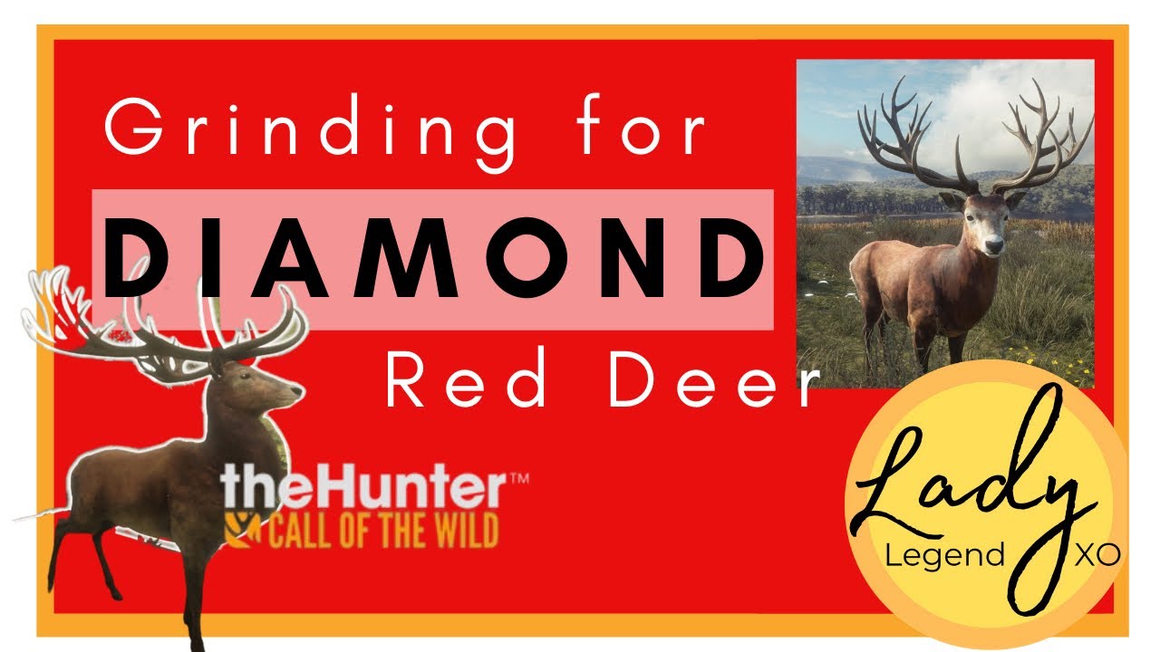 Grinding for Diamond Red Deer. Hunter: Call of the Wild. - YouTube
