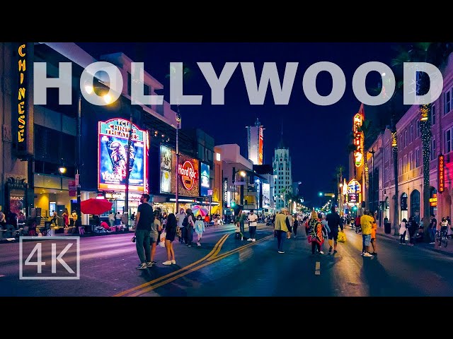 Hollywood Night