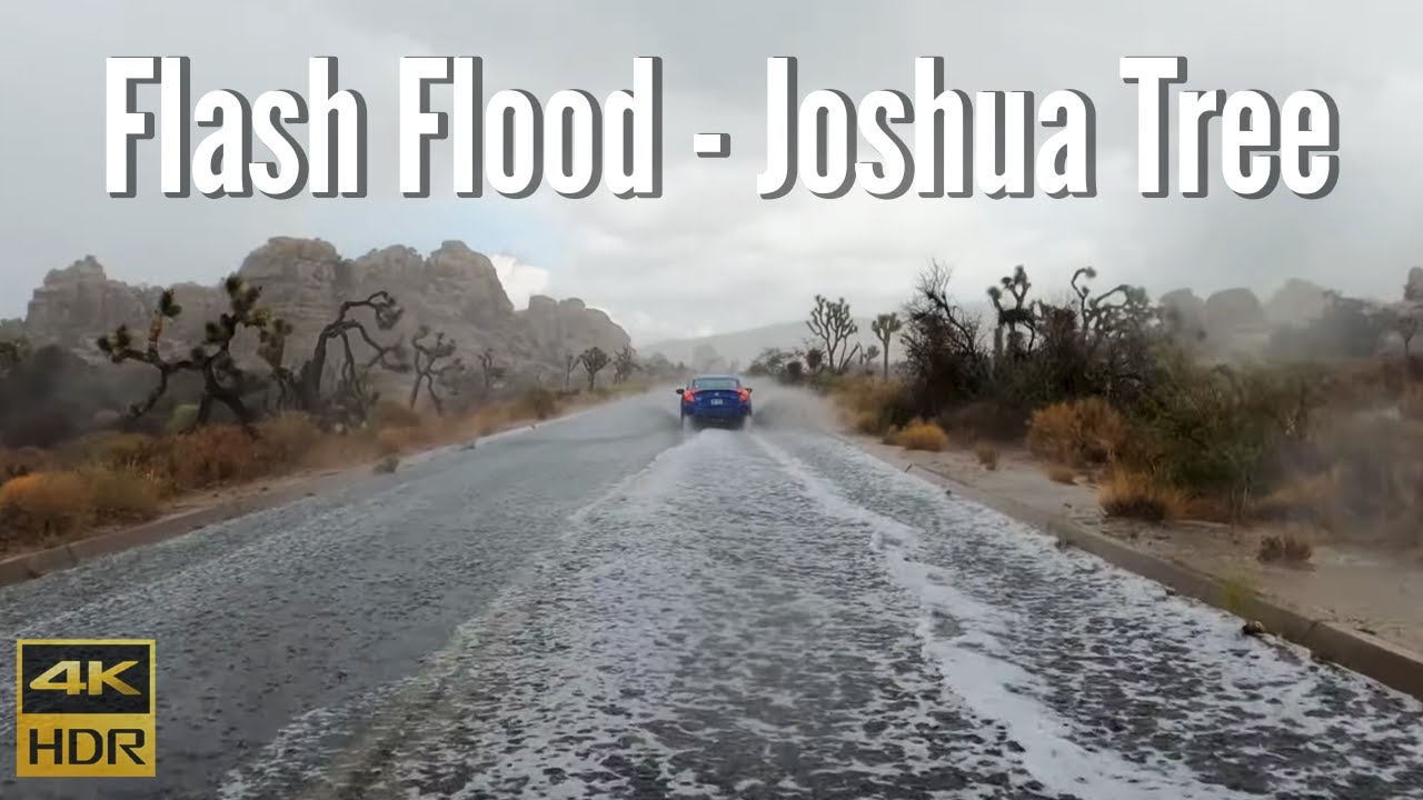 Joshua Tree Flash Flood - 4K Drive - YouTube