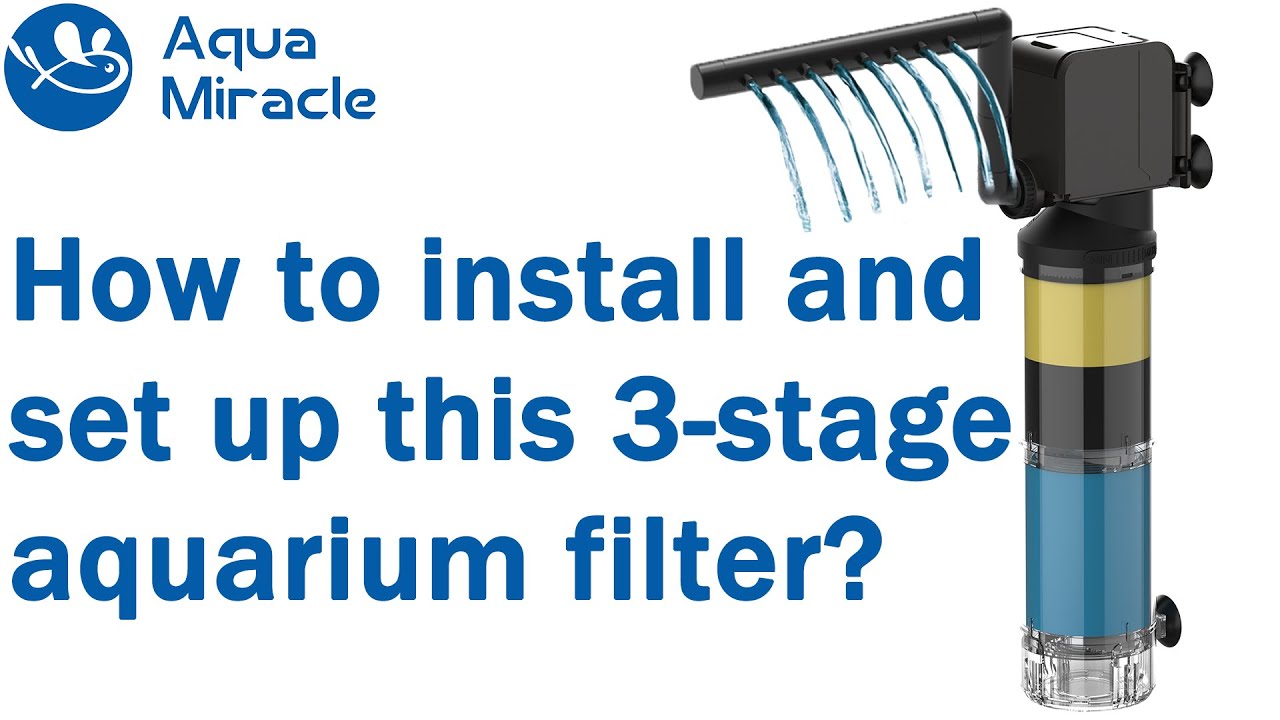How to install and set up this 3-stage aqusrium filter? - YouTube