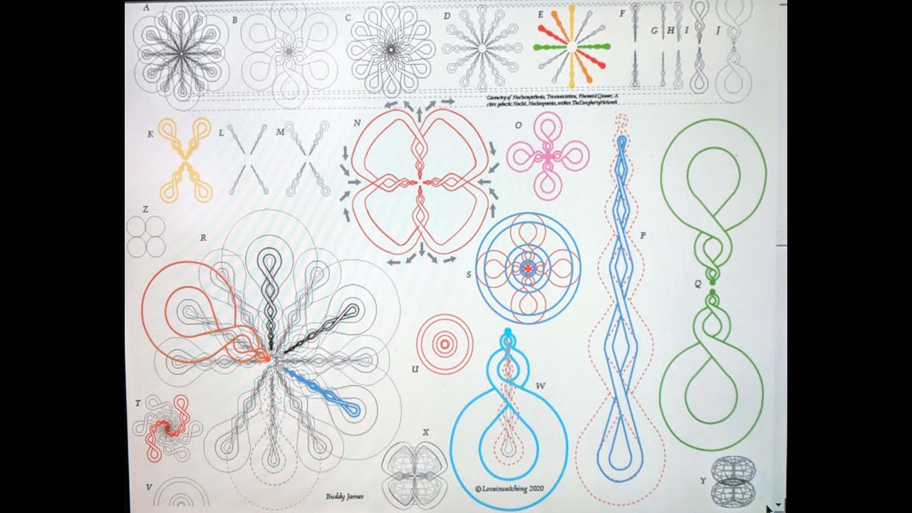 6 The Geometry of "Black holes", Transmutation, Nucleosynthesis ...