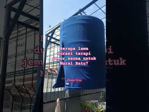 Jemur Sauna Murai Batu yang benar berapa lama ya gaes? #muraibatu #kicaumania #birds #pets #terapia