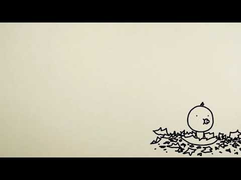 KAĞIT ANİMASYONLAR 1#