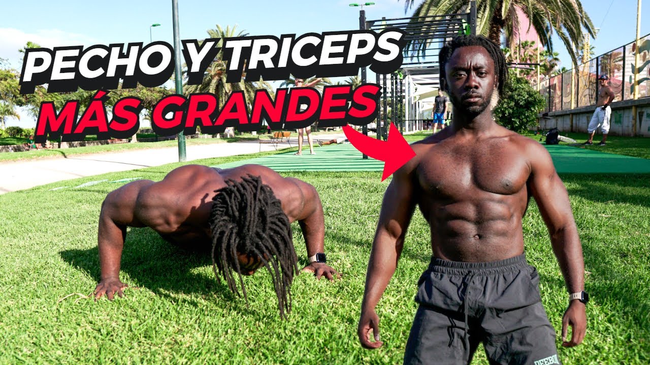 EL ENTRENAMIENTO DE PECHO Y TRÍCEPS DEFINITIVO SIN NECESIDAD DE PESAS ...