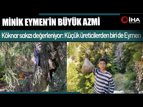 Minik Eymen’in Büyük Azmi Çam Sakızından Harçlığını Çıkarıyor