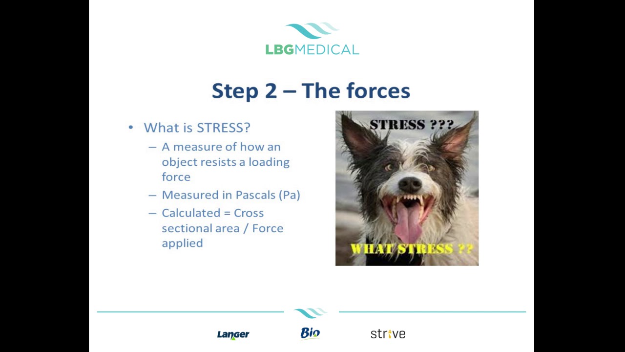 WEBINAR: Tissue Stress Theory - YouTube