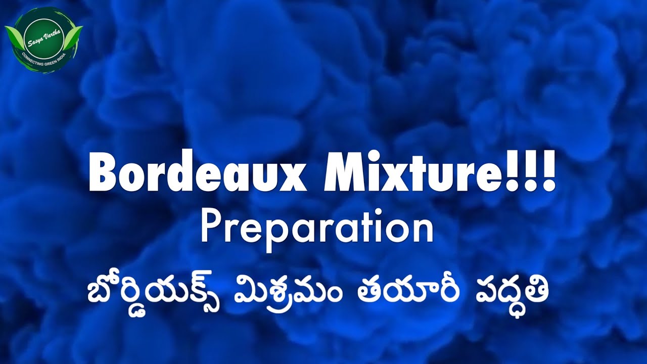 Preparation of Bordeaux Mixture | బోర్డియక్స్ మిశ్రమం తయారీ పద్ధతి ...