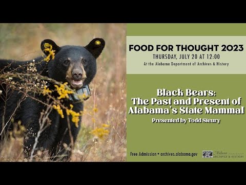 Food for Thought- Black Bears: The Past and Present of Alabama's State ...