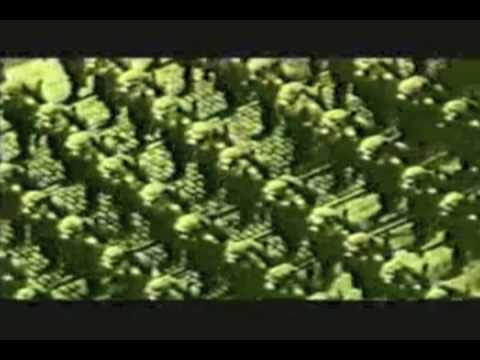 William Greer shot JFK with top secret CIA gun {william cooper} 1 - 5 ...