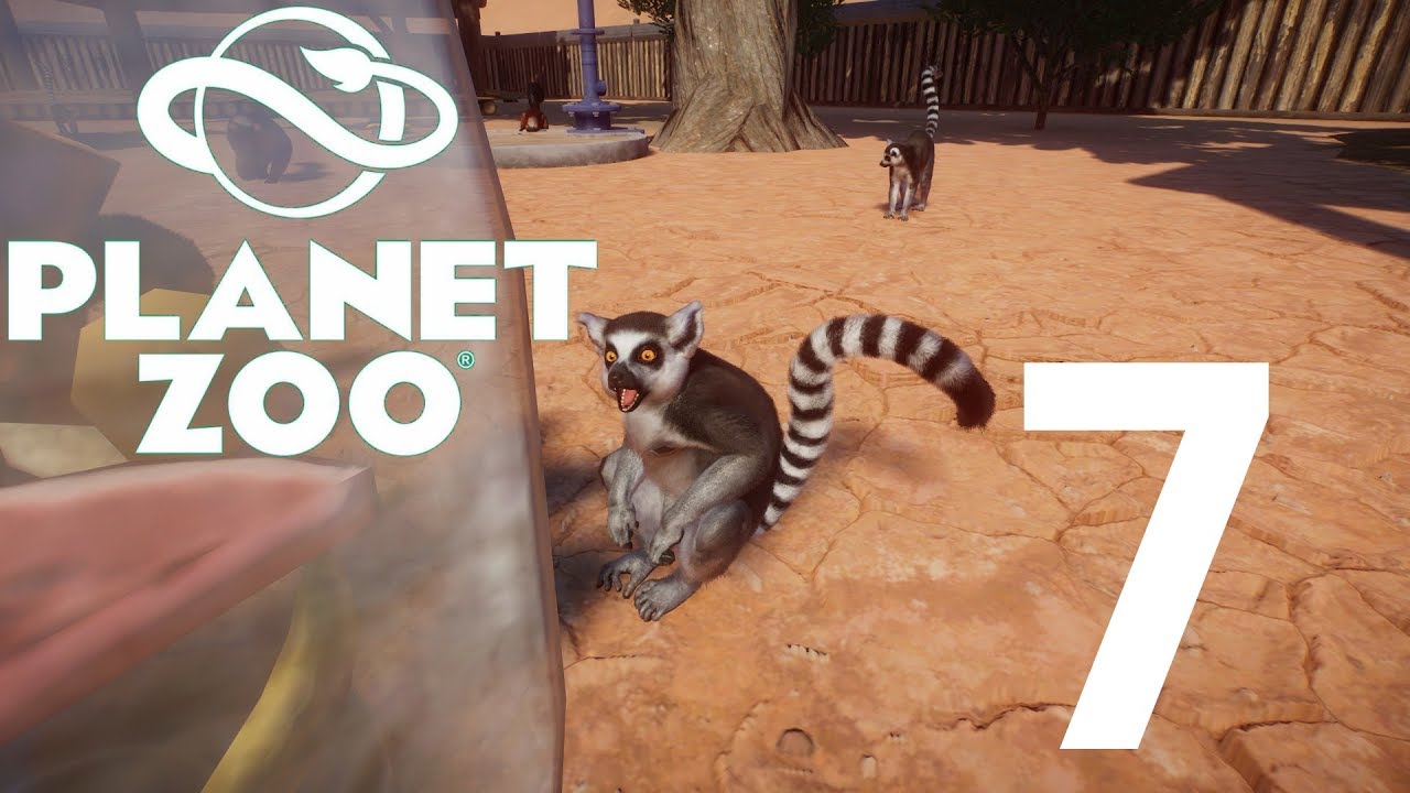 Let's Play Planet Zoo: Franchise (Part 7) - Lemur Land! - YouTube