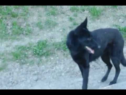 DSC0214