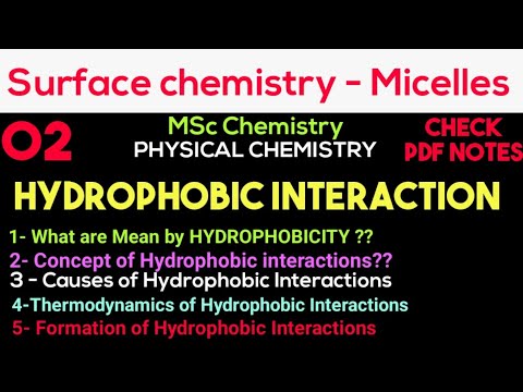 Hydrophobic Interactions - Hydrophobicity + Cause + Thermodynamic ...