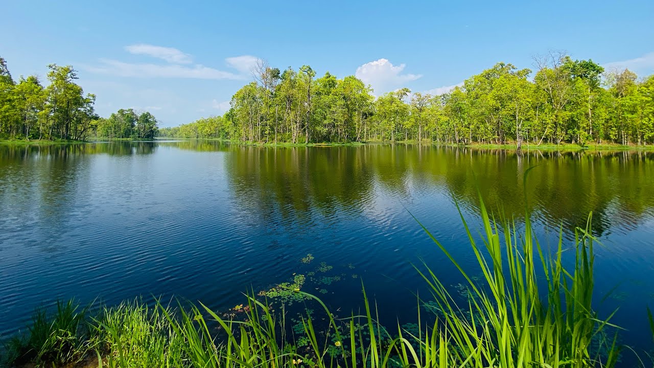 Way to batulipokhari and bishajari tal 🤗 - YouTube