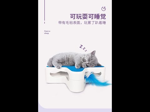 Teaser Cat Toys: Starfish Cat Toy (2018)