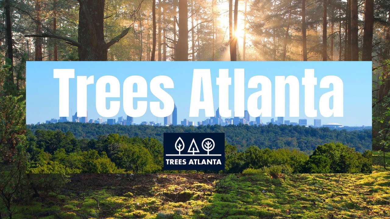 Trees Atlanta - YouTube