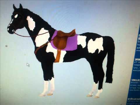 My Snafflez Horses :) - YouTube
