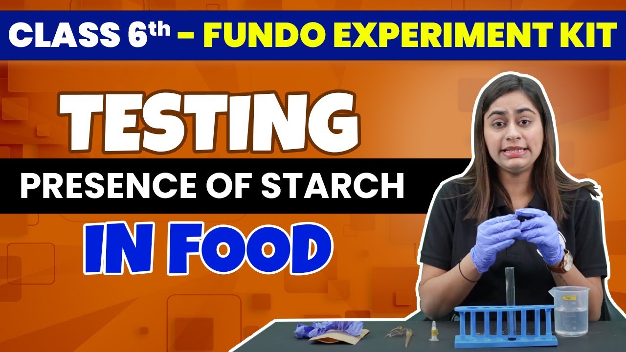 Testing Presence of Starch in Food | FUNDO - Experiment Kit 🔥 - YouTube