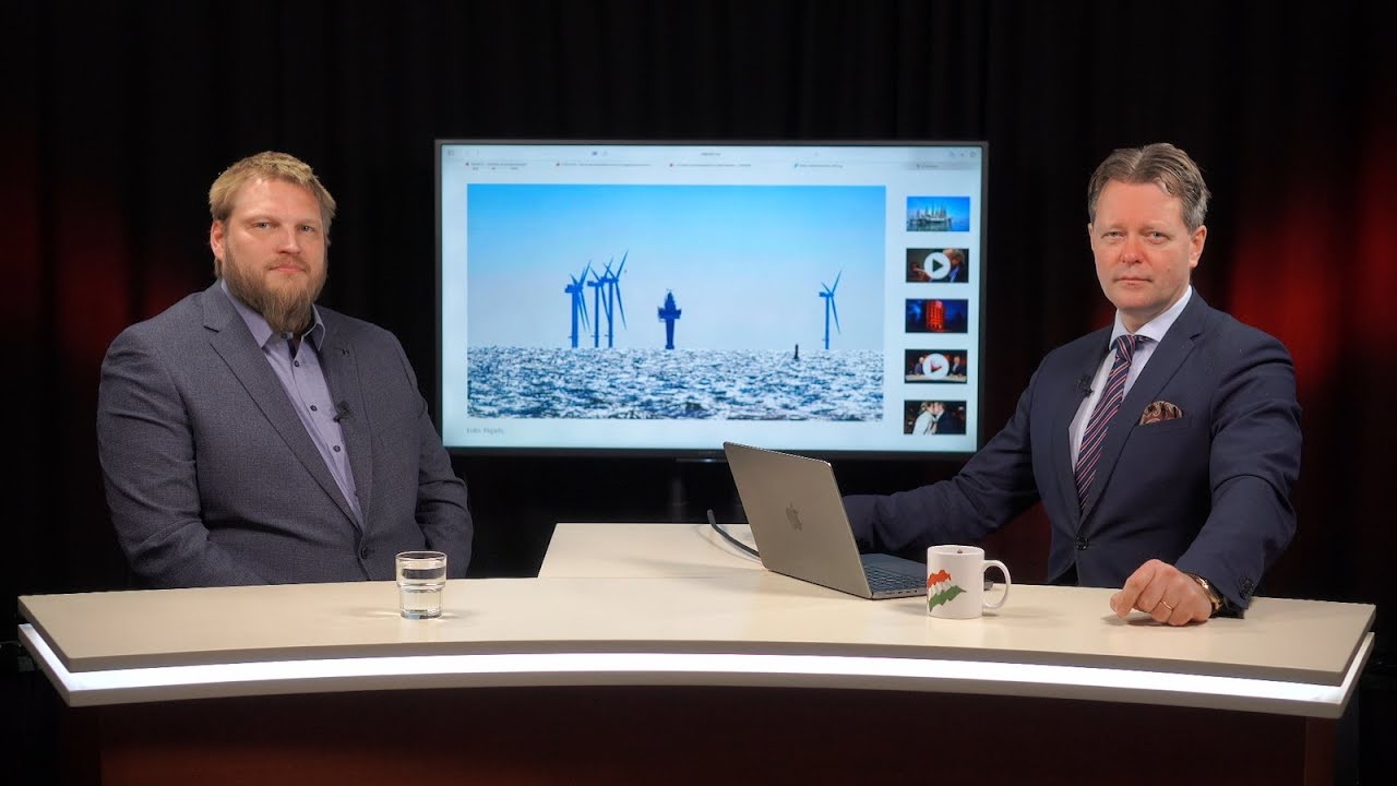 INTERVJUU | Margus Sild: tuuleenergia pole odav ega säästa ka loodust ...