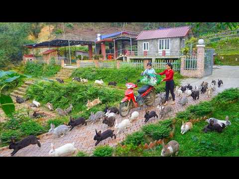 The Woman Came To The Farm To Buy Many Rabbits and Gourds, Harvest Duck Eggs and Daily Animal Care