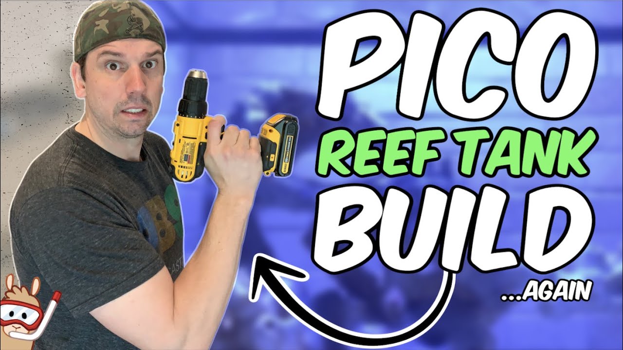 Setting Up the Pico Reef Tank With a New Stand - YouTube