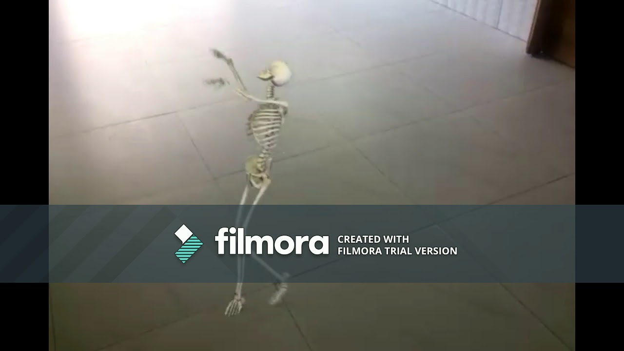 The Skeleton Dance | Dance Songs for Kids | Super Simple Skeleton dance ...