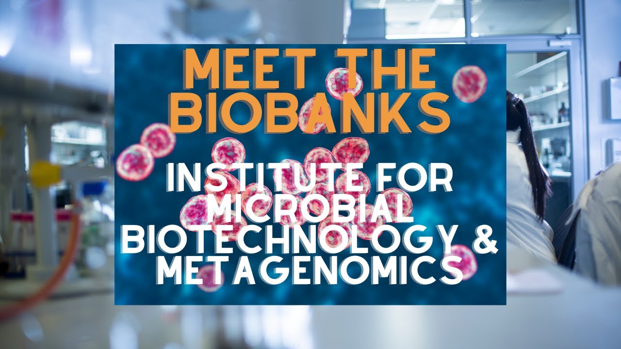 IMBM: A Quick Guide To South Africa's Premier Microbial Biobank - YouTube
