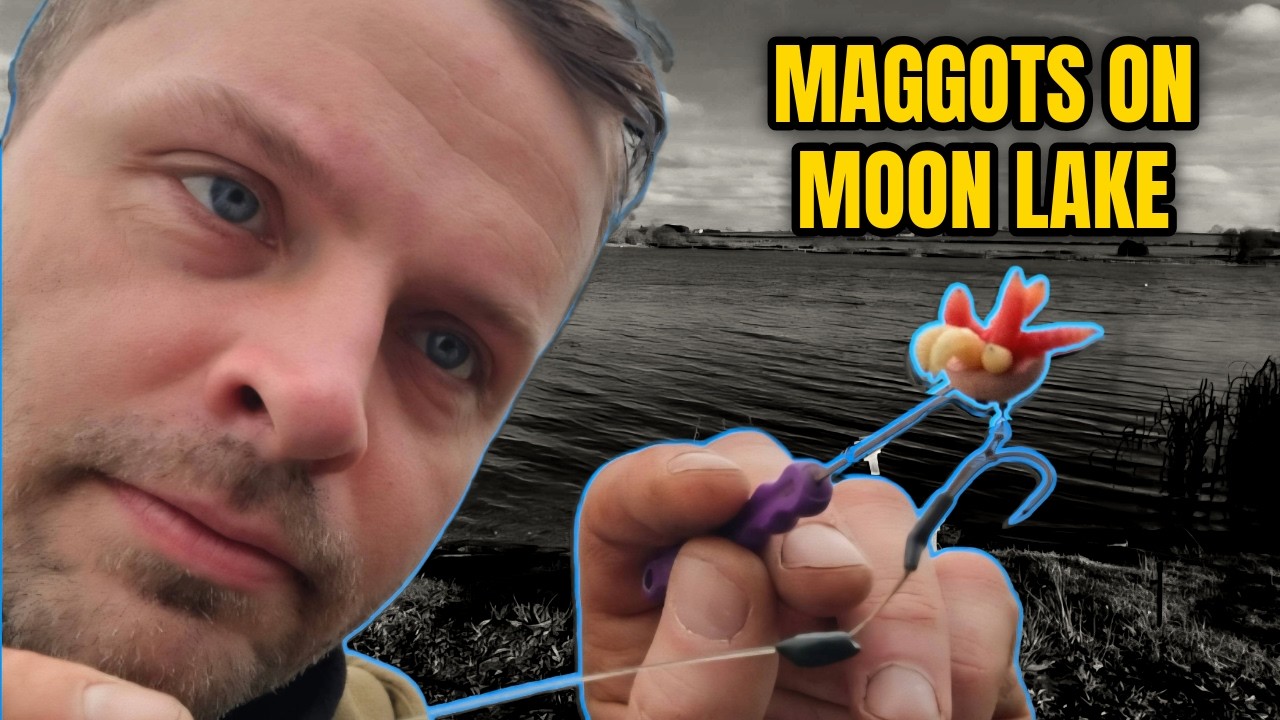 Winter Carp Fishing with Maggots | Moon Lake - Doddington Lane Pits ...