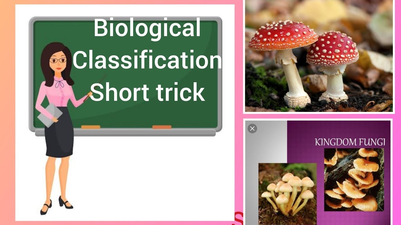 Biological classification short tricks.. Part 1 easy and simple - YouTube