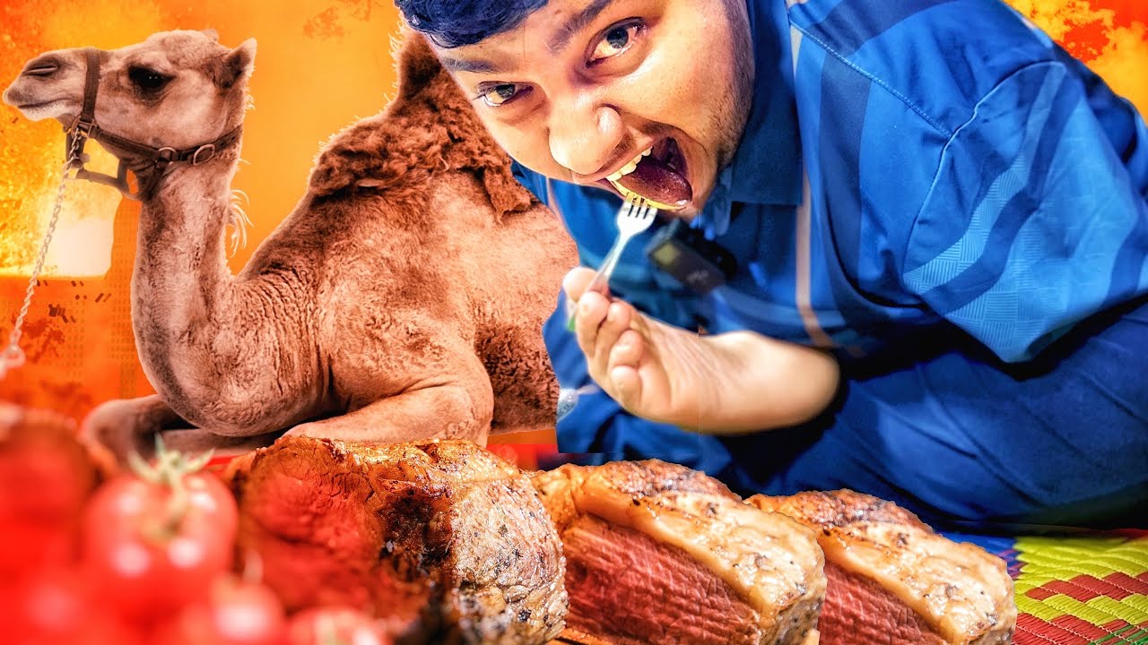 জীবনের প্রথম আমার উটের গোস্ত খাওয়ার অভিজ্ঞতা কেমন ছিলো | Food Vlog ...