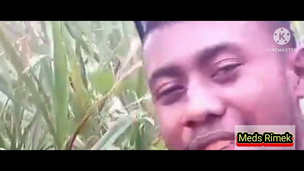 Rimek clips 2025 - YouTube